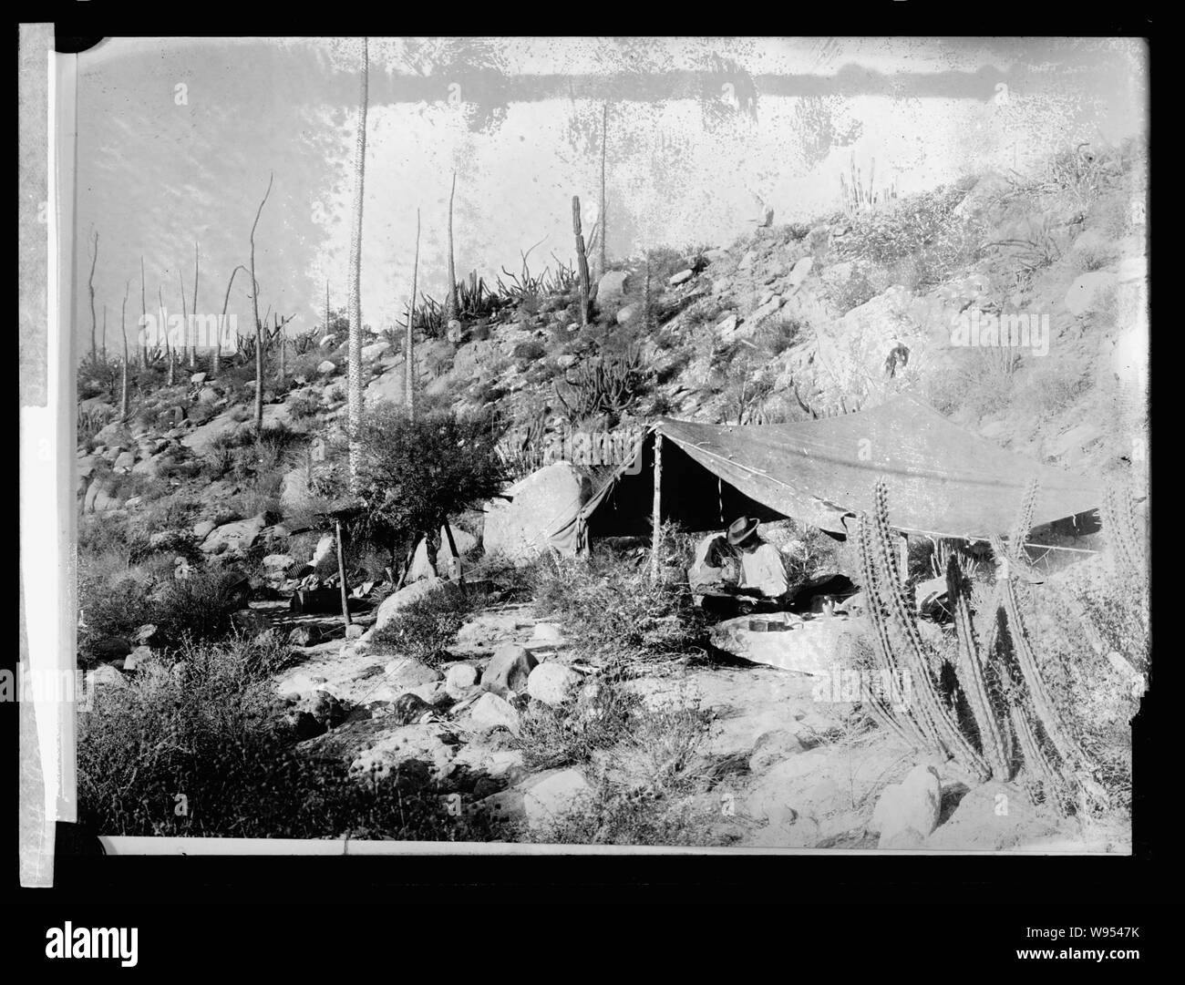 Agriculture survey Black and White Stock Photos & Images - Alamy