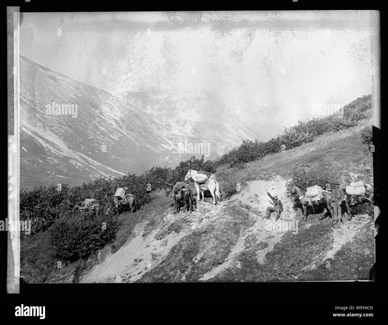 Farm survey Black and White Stock Photos & Images - Alamy