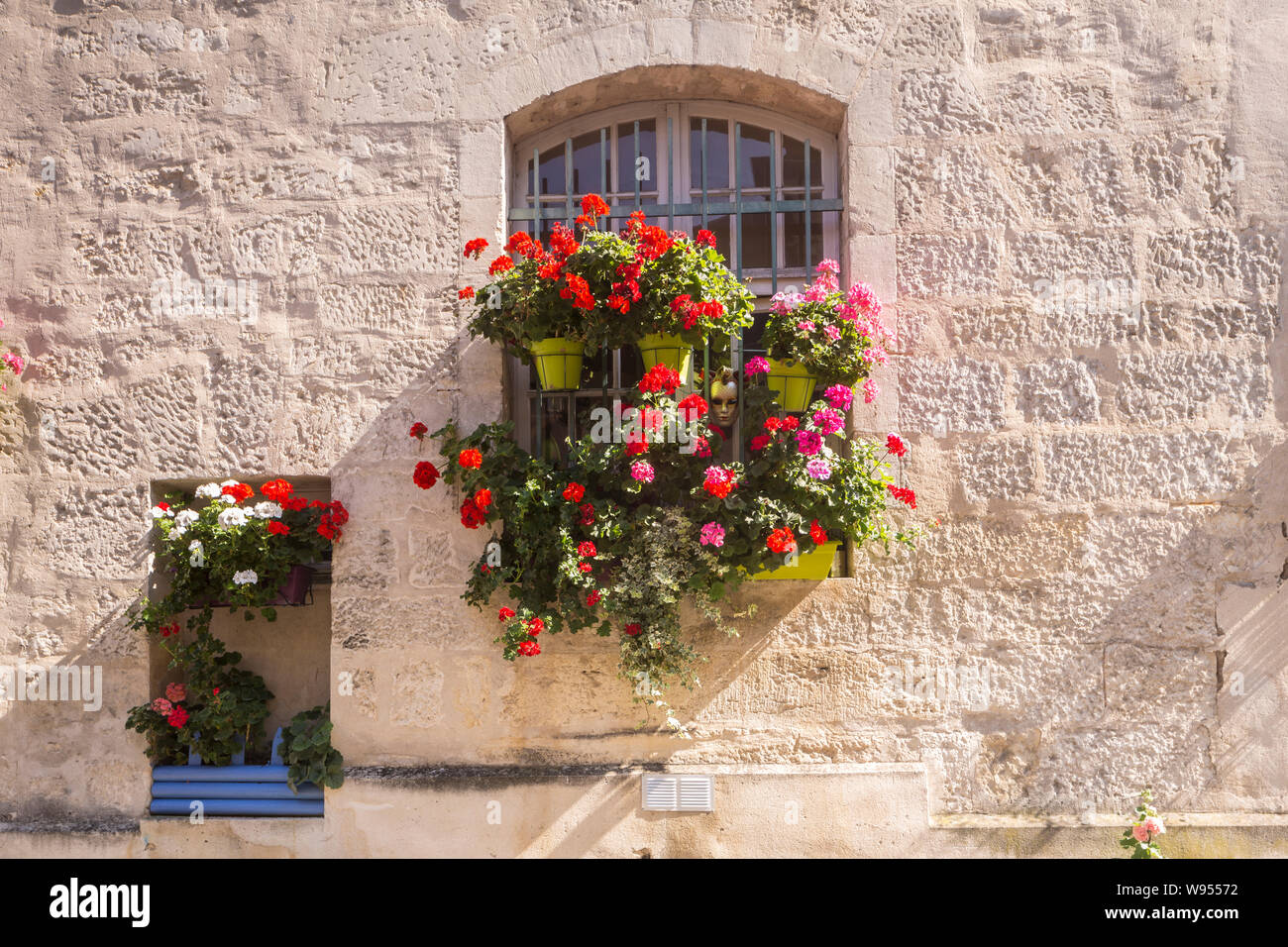 Flowers surround hi-res stock photography and images - Alamy