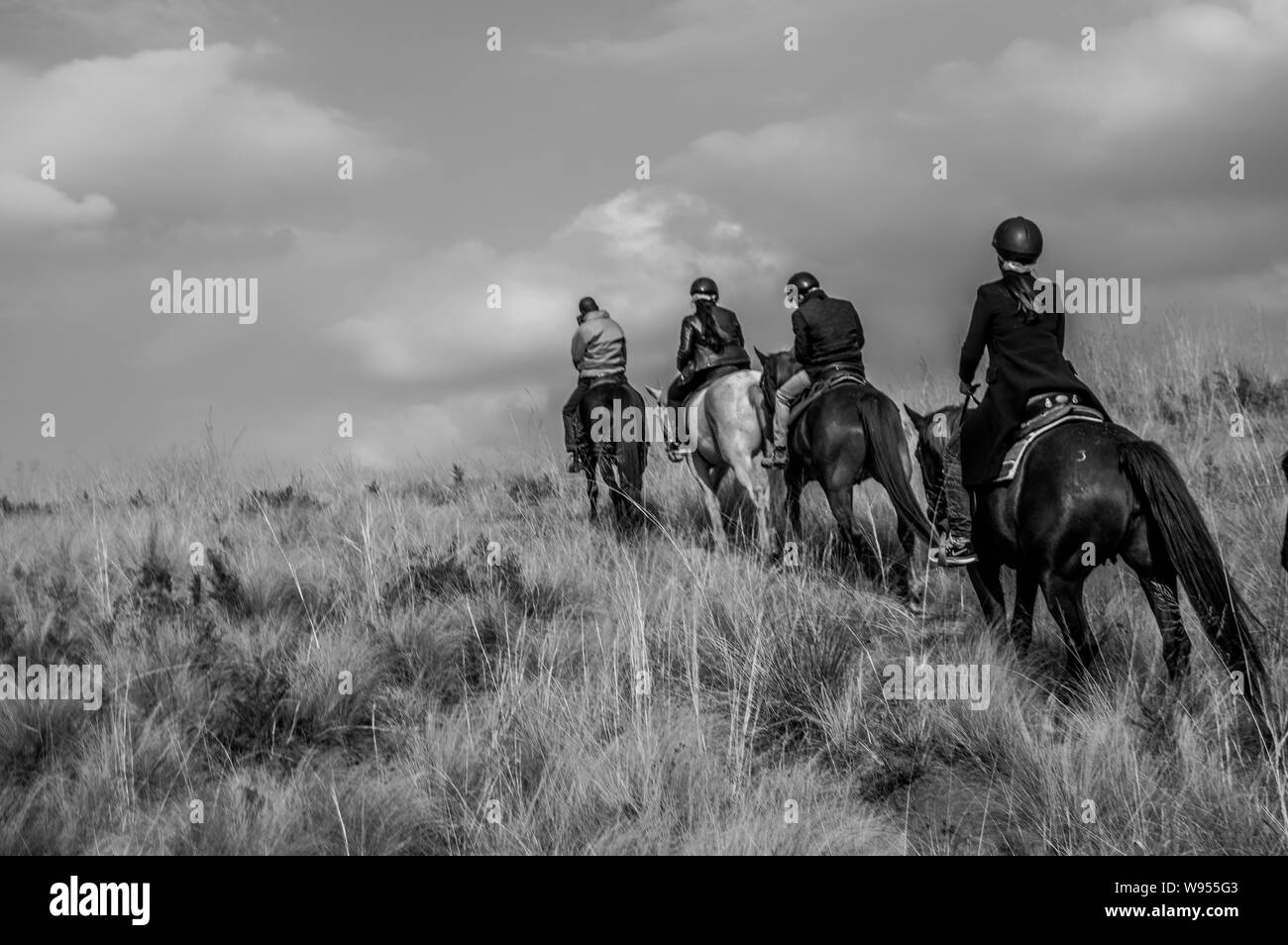 Group of Indian Horse riding riders on a trail in Drakensberg region in ...