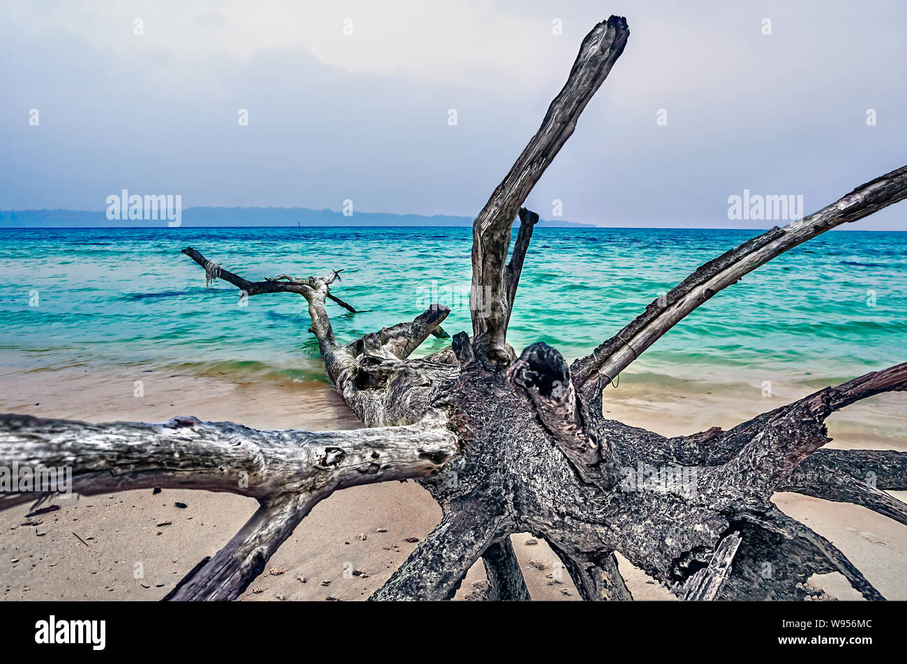Havelock island, Andaman & Nicobar, India Stock Photo - Alamy