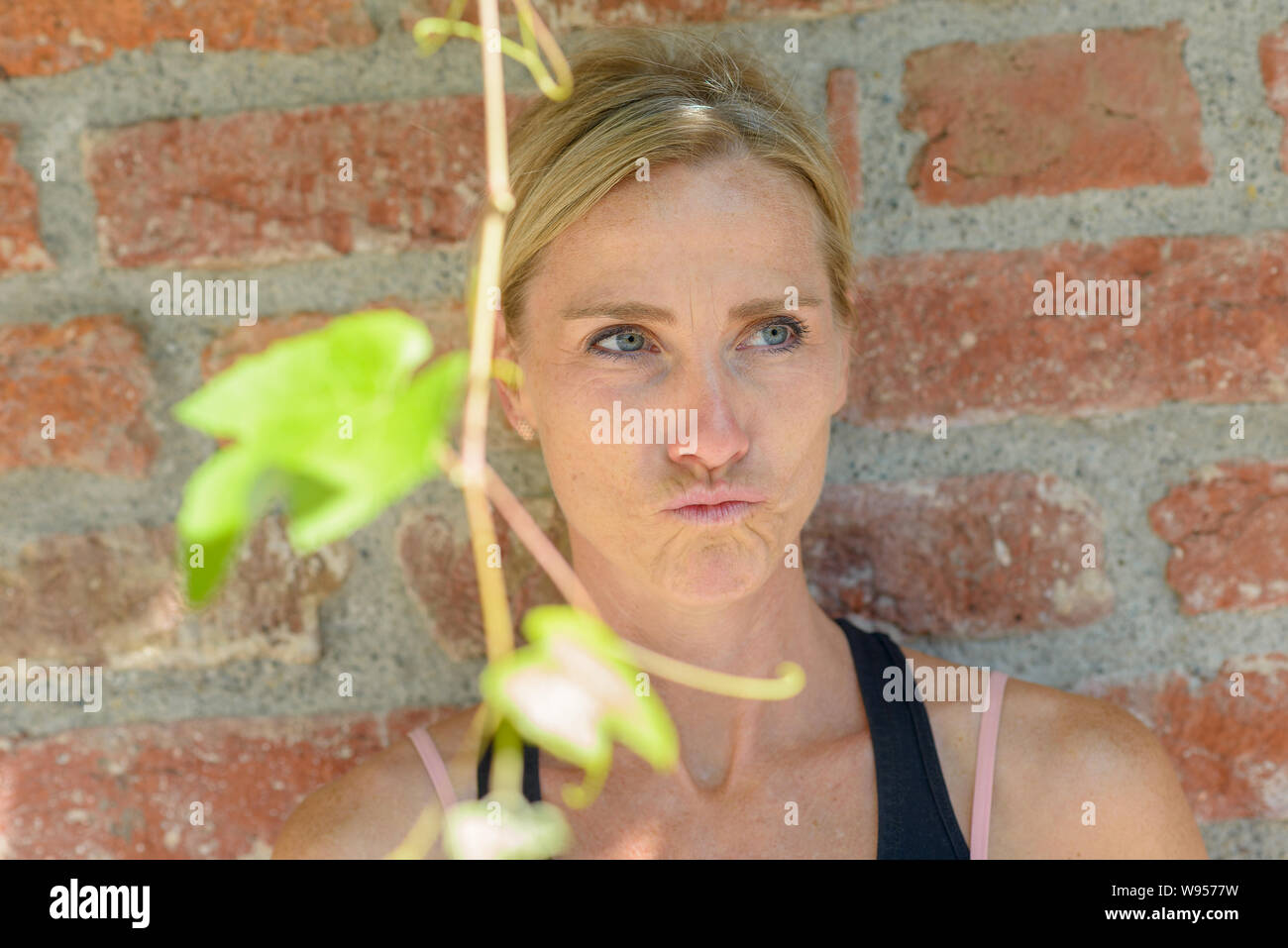 Hanging vine hi-res stock photography and images - Alamy