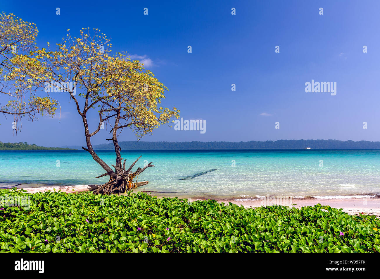 Andaman and nicobar wave hi-res stock photography and images - Alamy