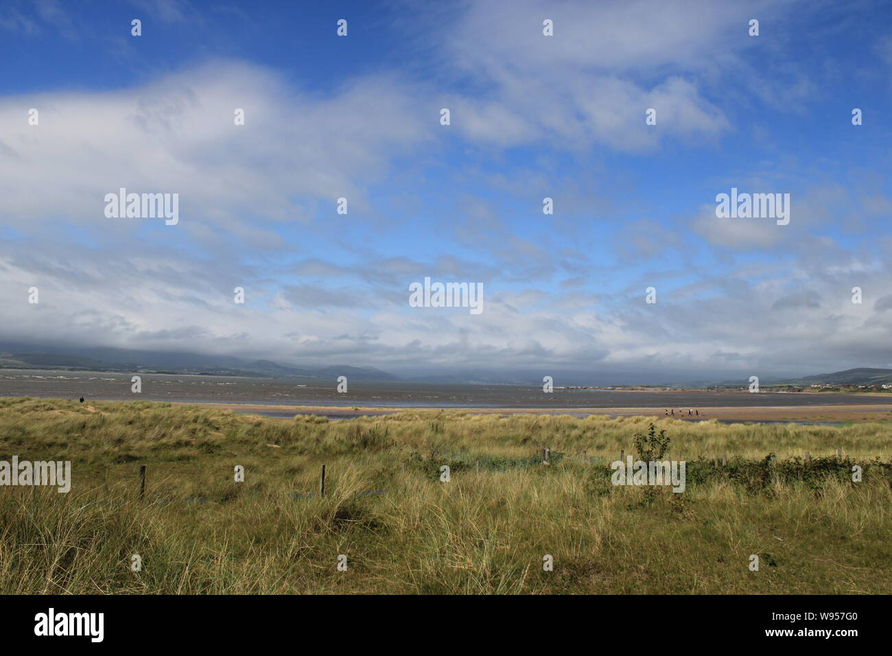 UK Sandscale Haws National Nature Reserve, Roanhead, Barrow In Furness ...