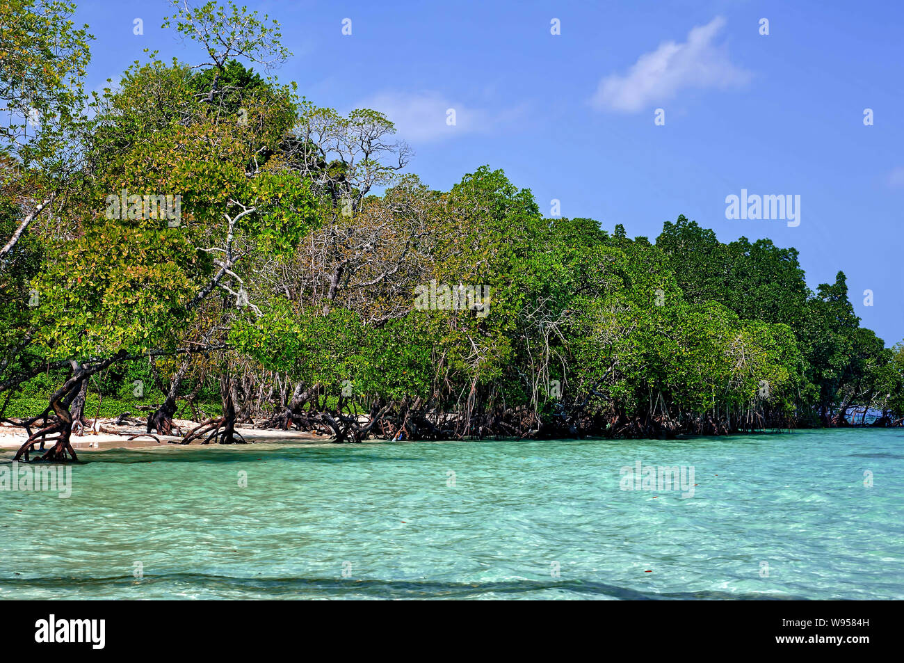Havelock island, Andaman & Nicobar, India Stock Photo - Alamy