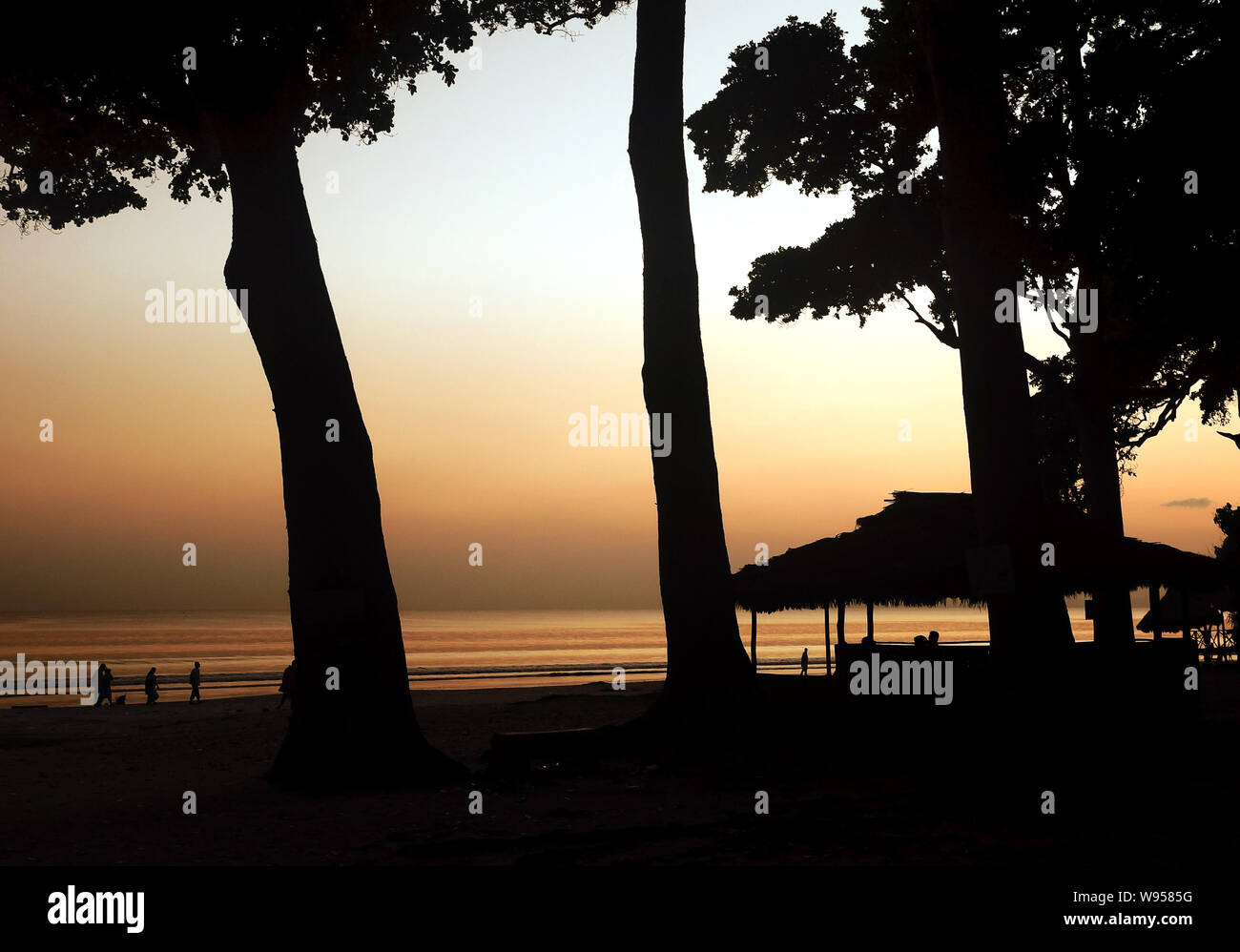 Havelock island, Andaman & Nicobar, India Stock Photo - Alamy