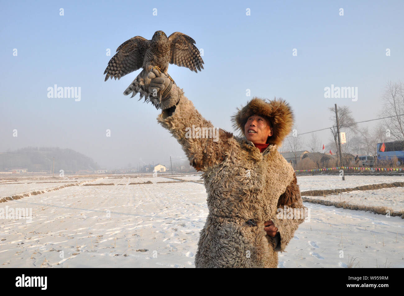 A Chinese hunter shows his falcon during the Second Manchu Falcon ...