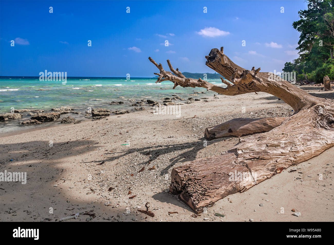 Havelock island, Andaman & Nicobar, India Stock Photo - Alamy