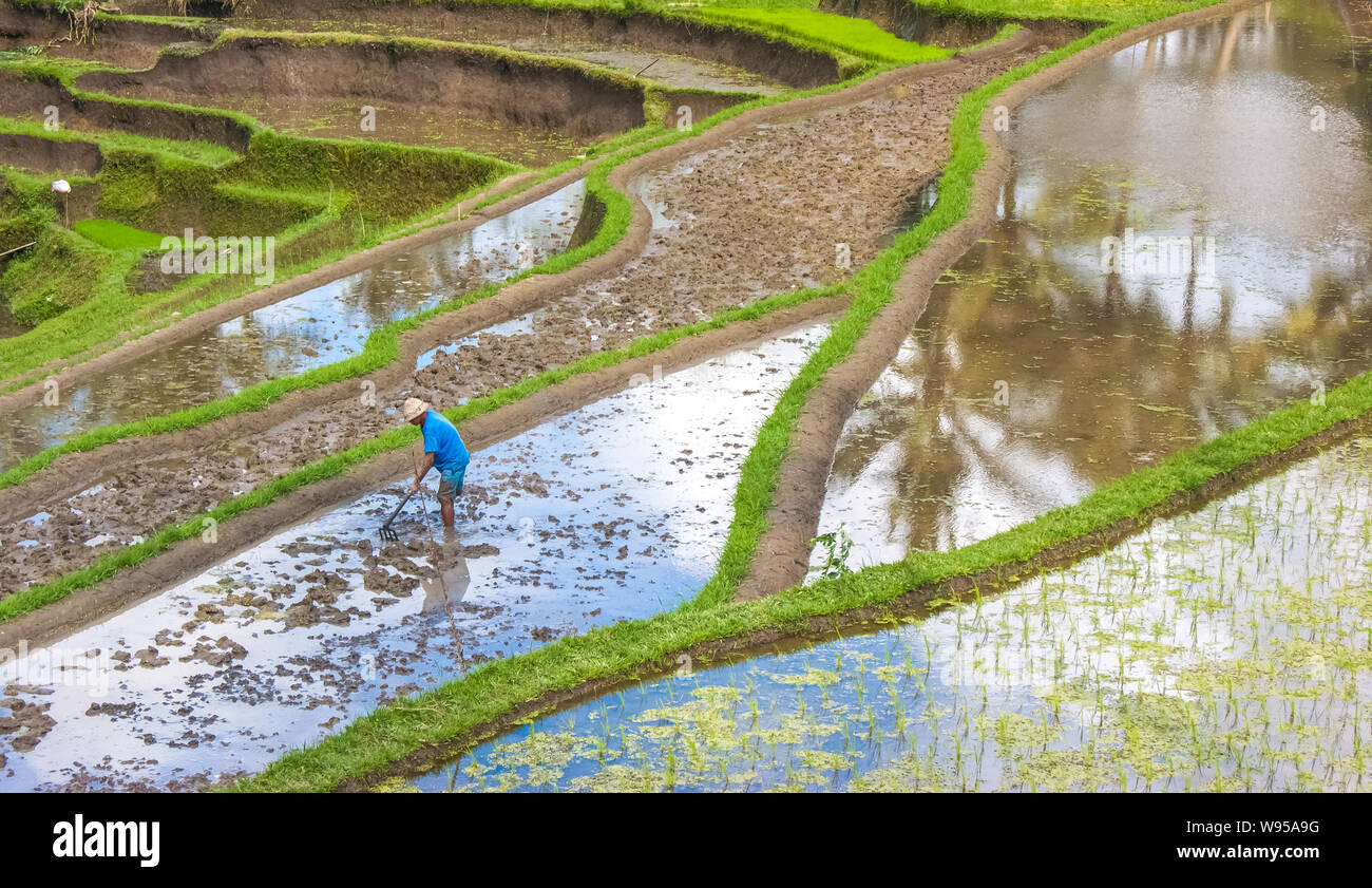 Asian farming tools hi-res stock photography and images - Alamy