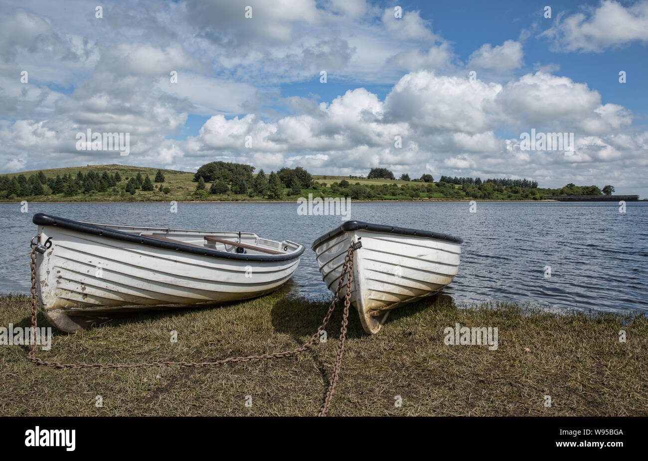 Fernworthy forest dartmoor hi-res stock photography and images - Alamy