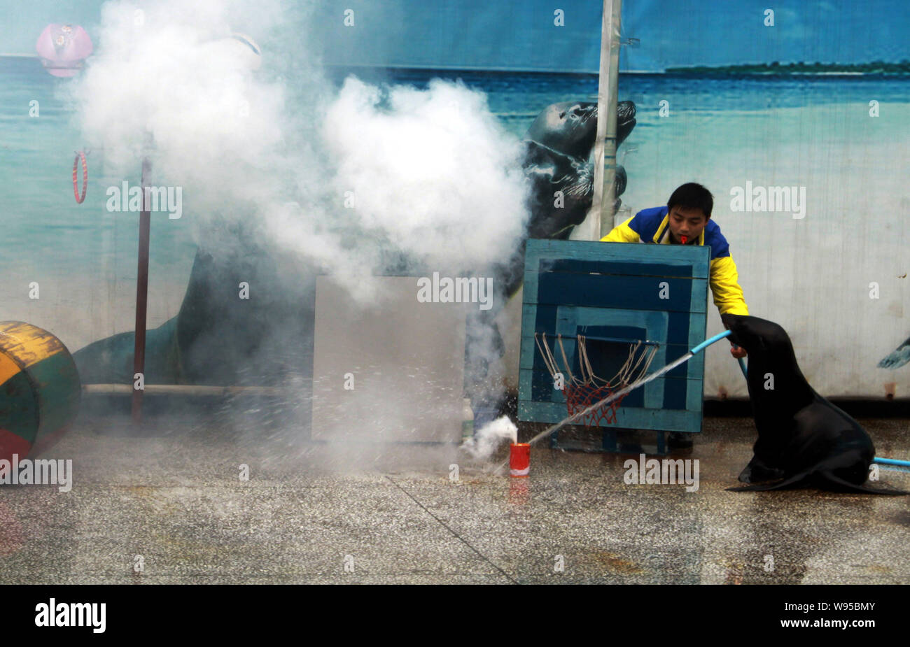Sea lion Zuo Luo (Zuoluo or Zorro) hoses water to extinguish fire ...