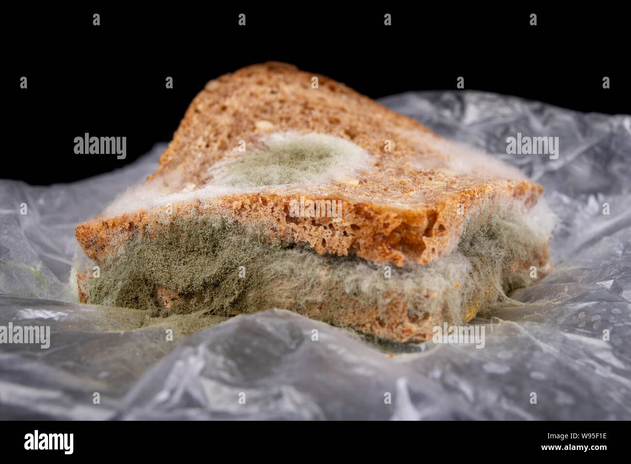 Moldy meat hi-res stock photography and images - Alamy