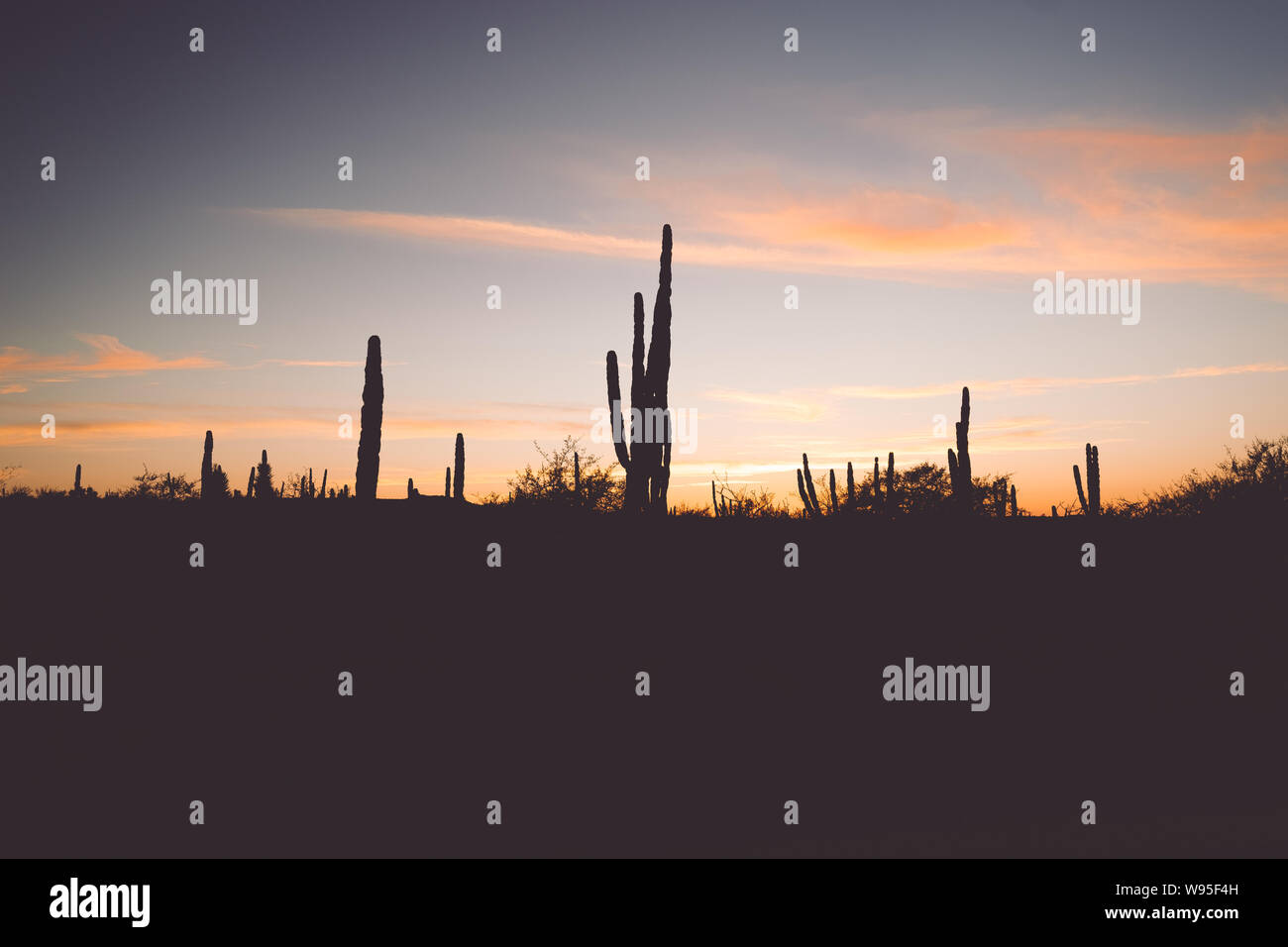 sunset in mexico - red sky Stock Photo - Alamy