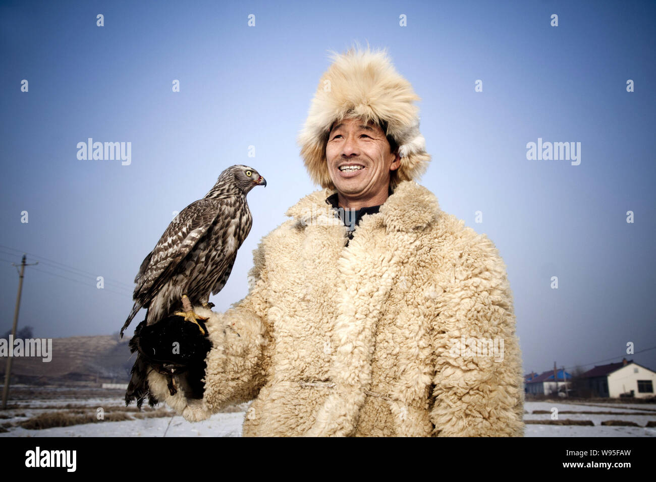 A Chinese hunter shows his falcon during the Second Manchu Falcon ...