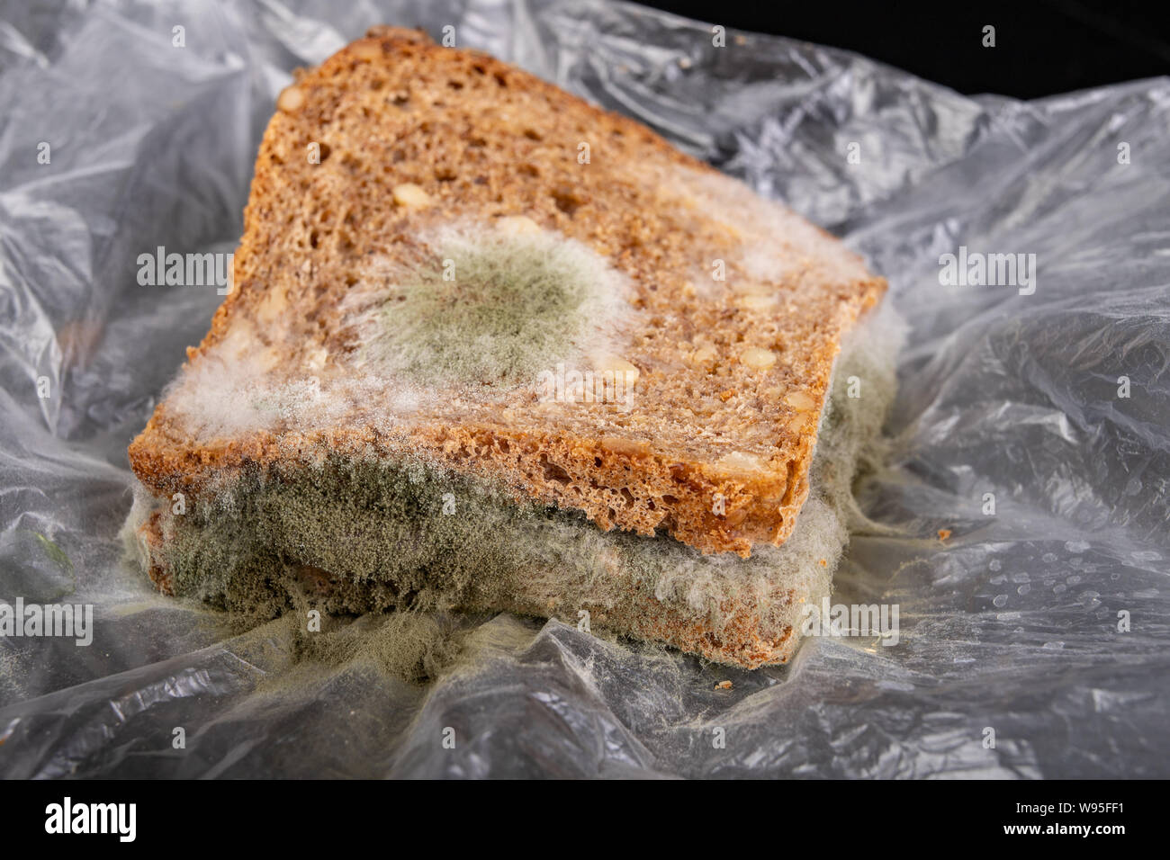 Moldy sandwich hi-res stock photography and images - Alamy