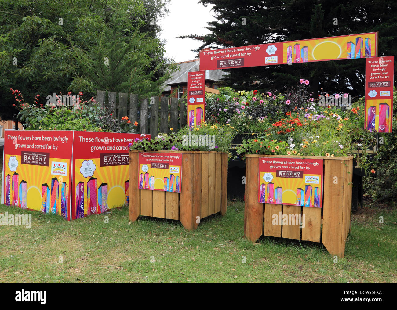 Britain in Bloom, Anglia in Bloom, exhibit with plants, Hunstanton ...