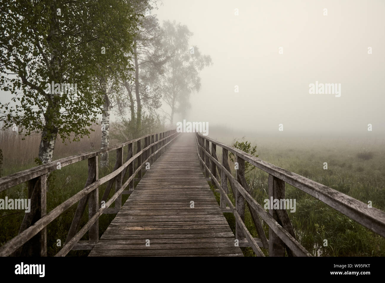 Wooden boardwalk and nature at Federsee in Bad Buchau, Germany Stock ...