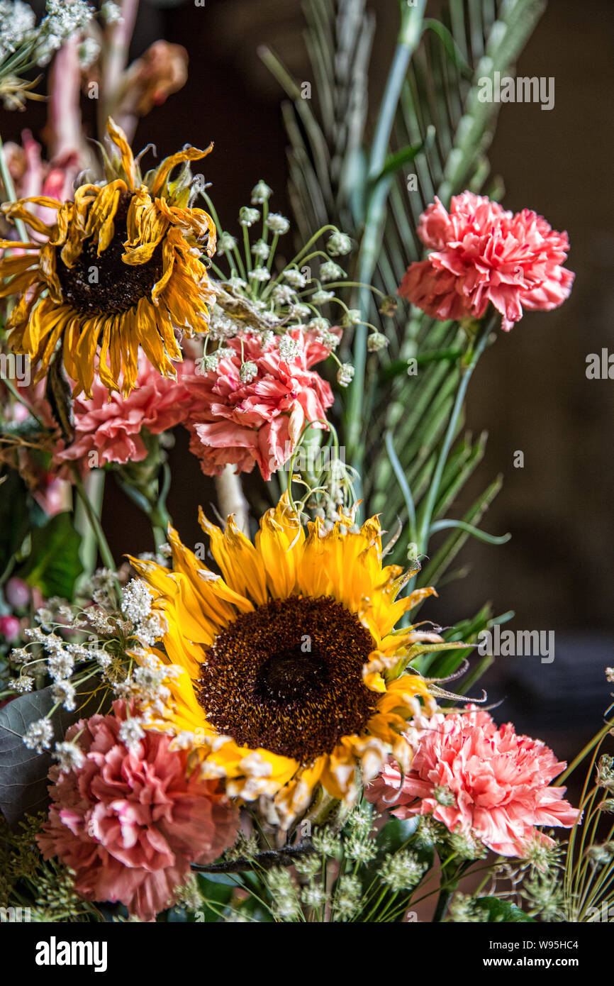 Wilting flowers hi-res stock photography and images - Alamy