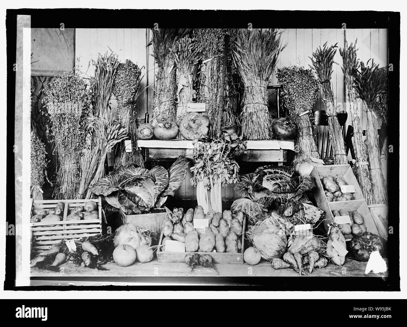 Alaska vegetables Black and White Stock Photos & Images - Alamy