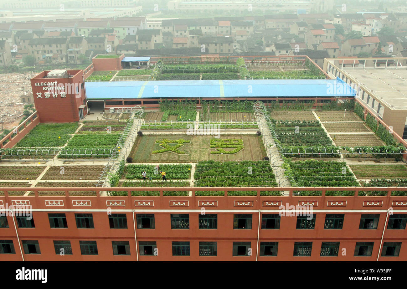 Chinese farmers cultivate the field on the rooptop of a textile factory ...