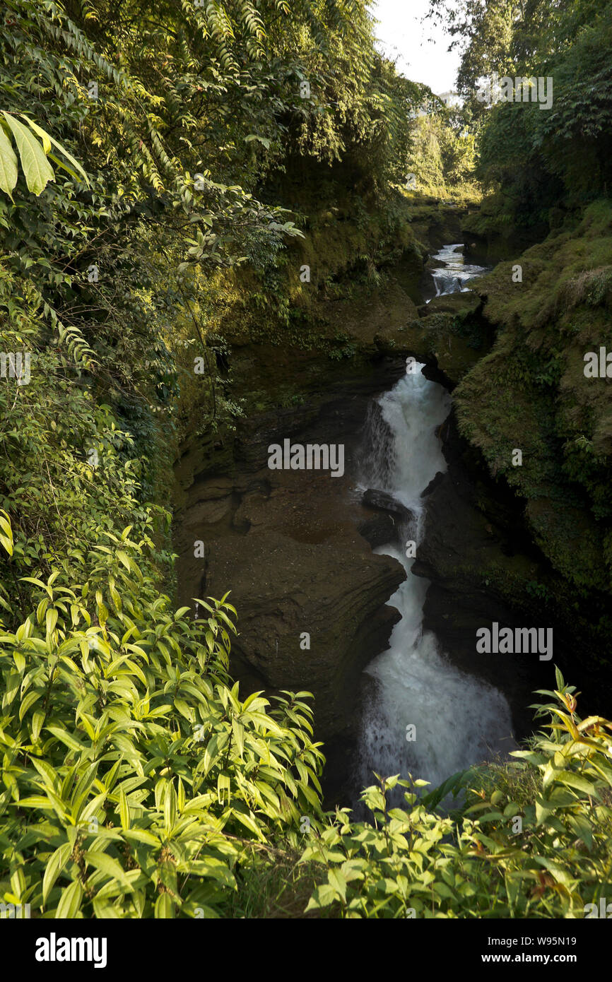 Devis hi-res stock photography and images - Alamy