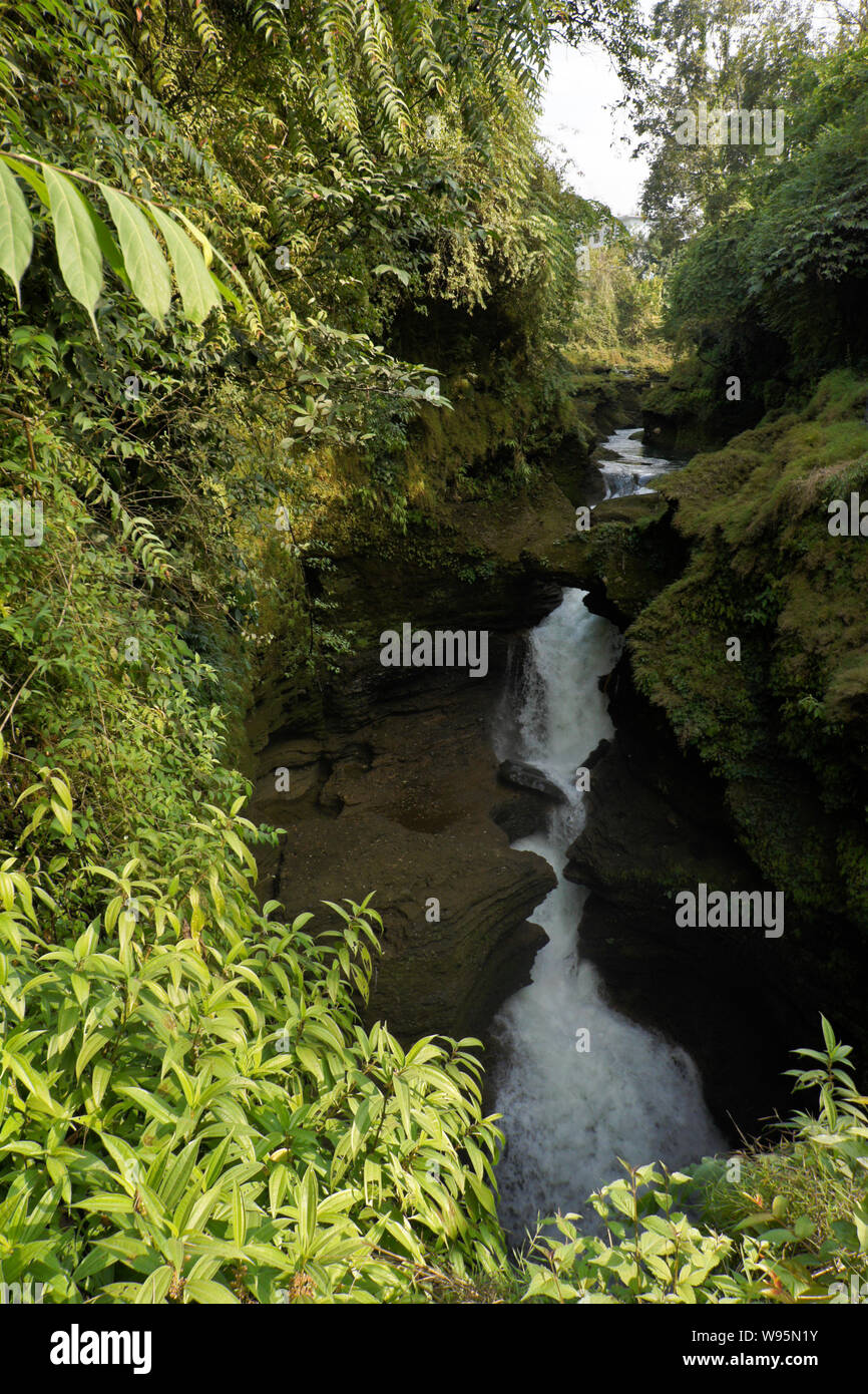 Devis hi-res stock photography and images - Alamy