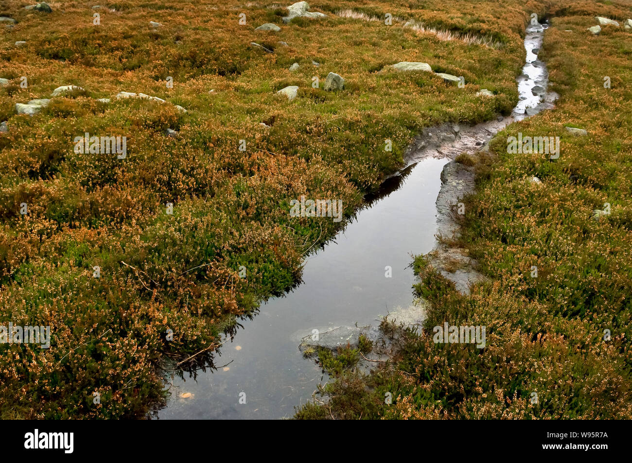 Jointing the edge hi-res stock photography and images - Alamy