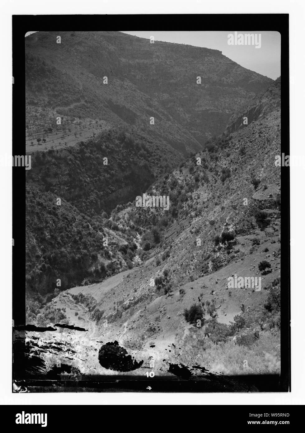 Dummar hi-res stock photography and images - Alamy