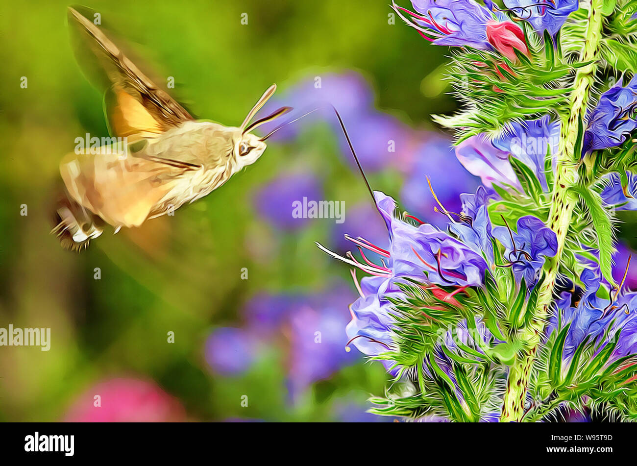 Bird eating moth hi-res stock photography and images - Alamy