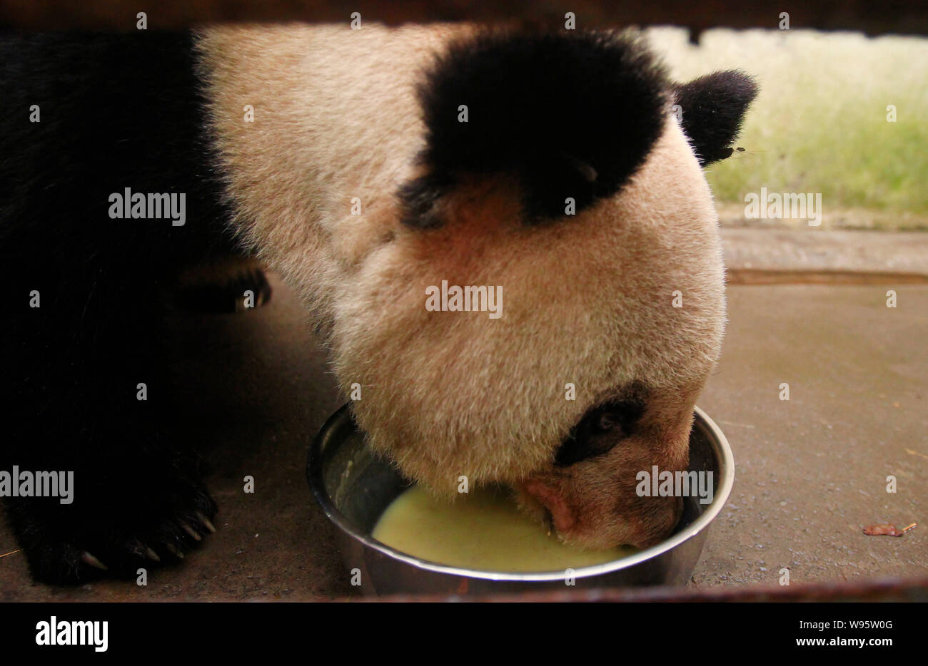 To 30 year old hi-res stock photography and images - Alamy