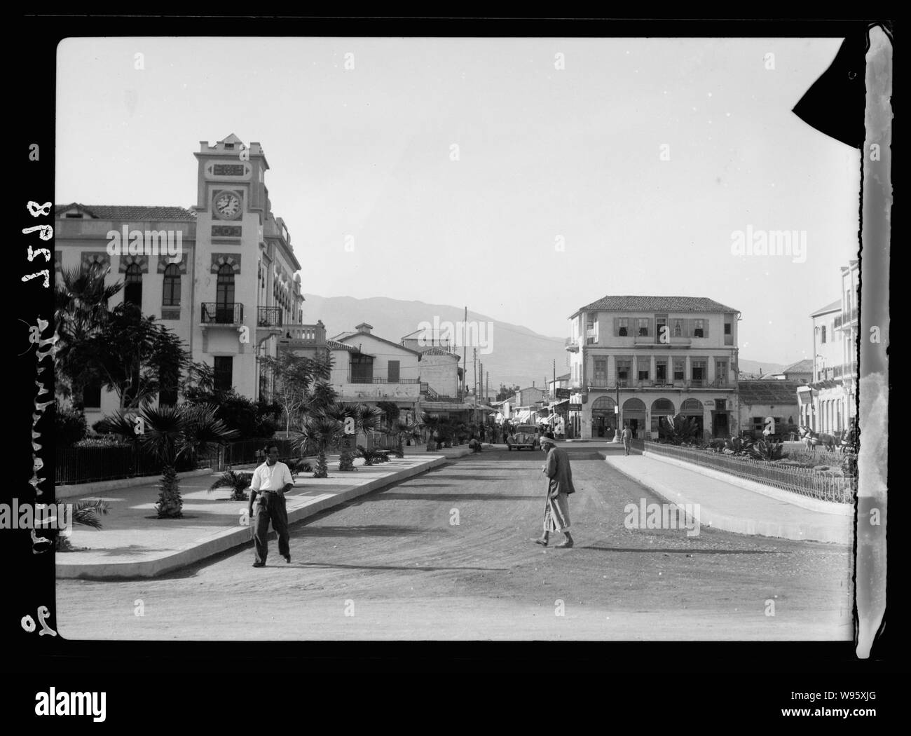 Alexandretta hi-res stock photography and images - Alamy