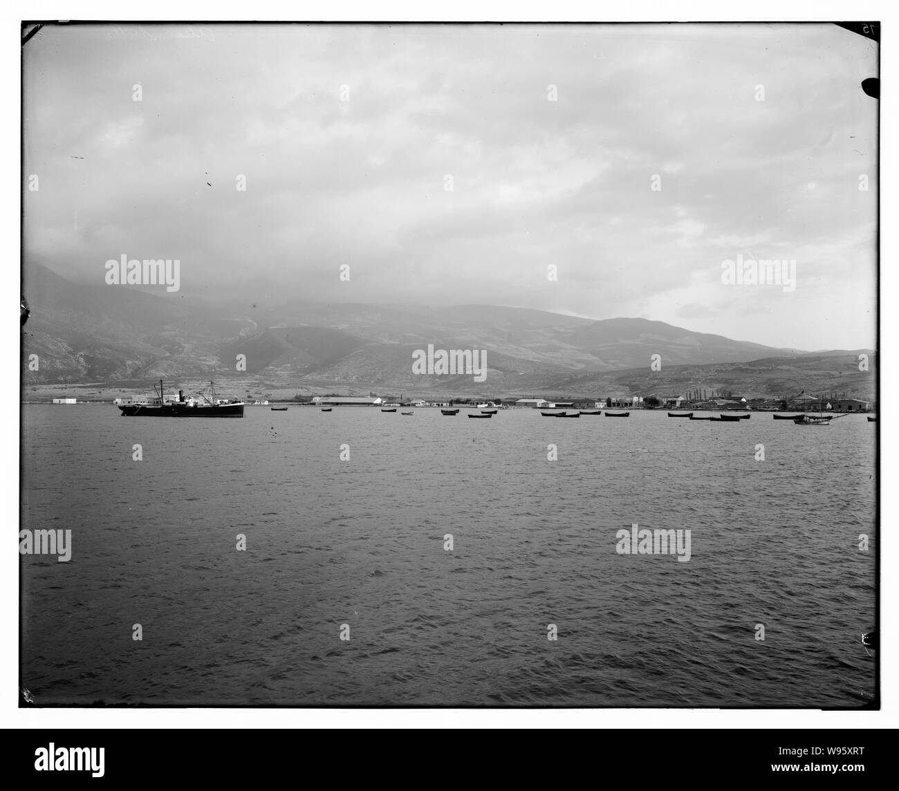 Alexandretta High Resolution Stock Photography and Images - Alamy