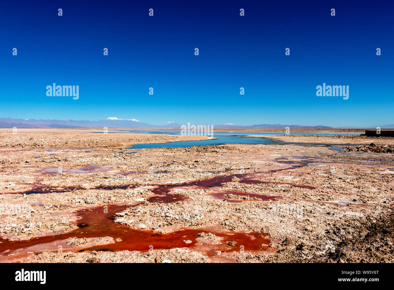 Chaxa Lake (Laguna Chaxa) with reflection of surroundings and blue sky ...
