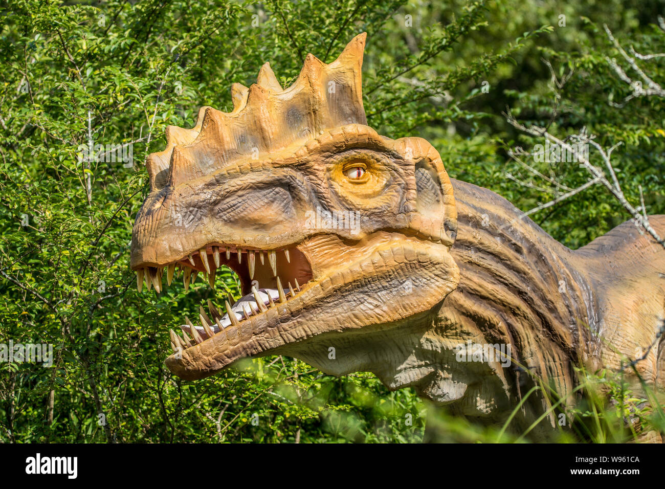 Fake action figure hi-res stock photography and images - Alamy