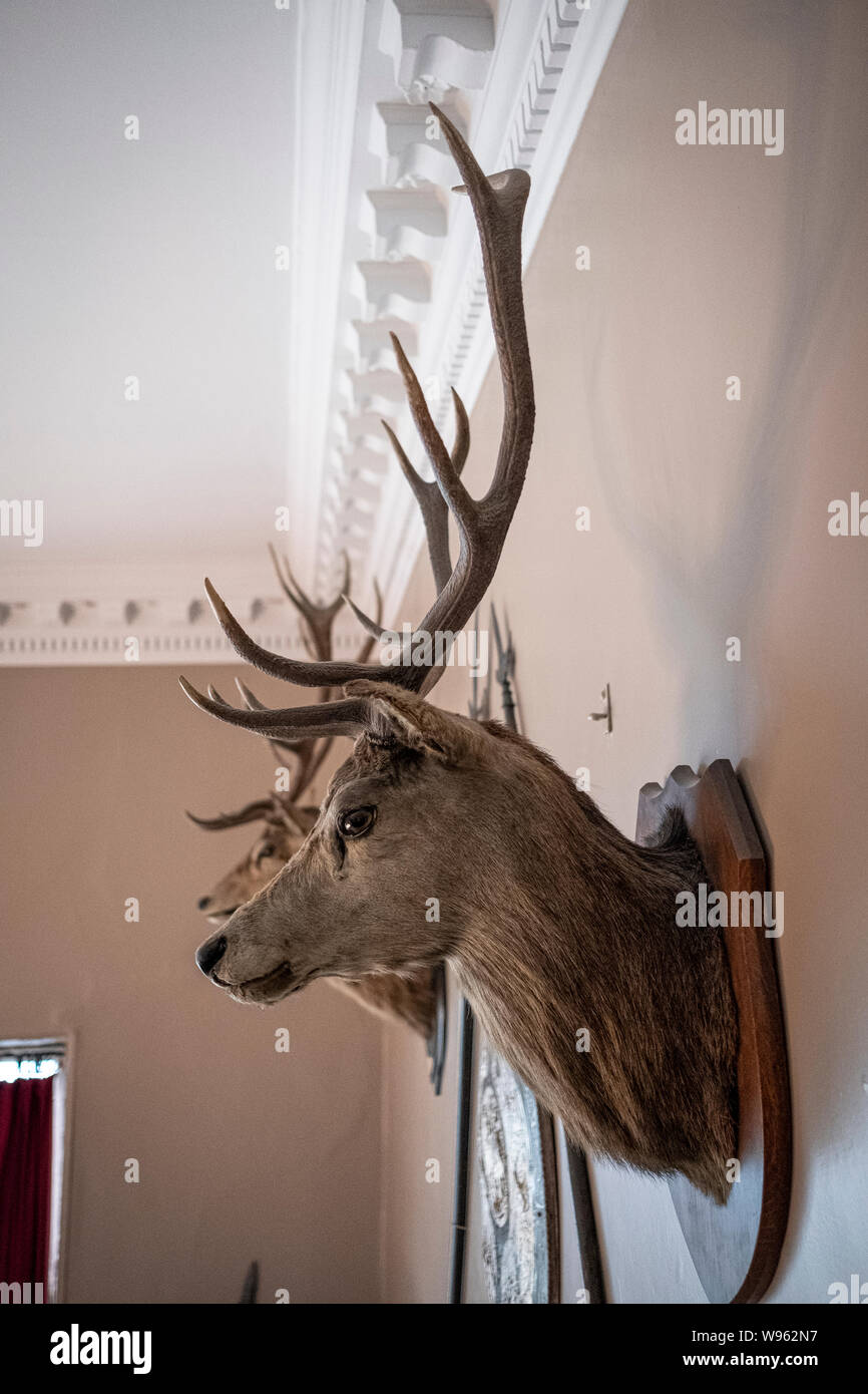 Bolling Hall, Bradford, West Yorkshire, England, UK Stock Photo - Alamy