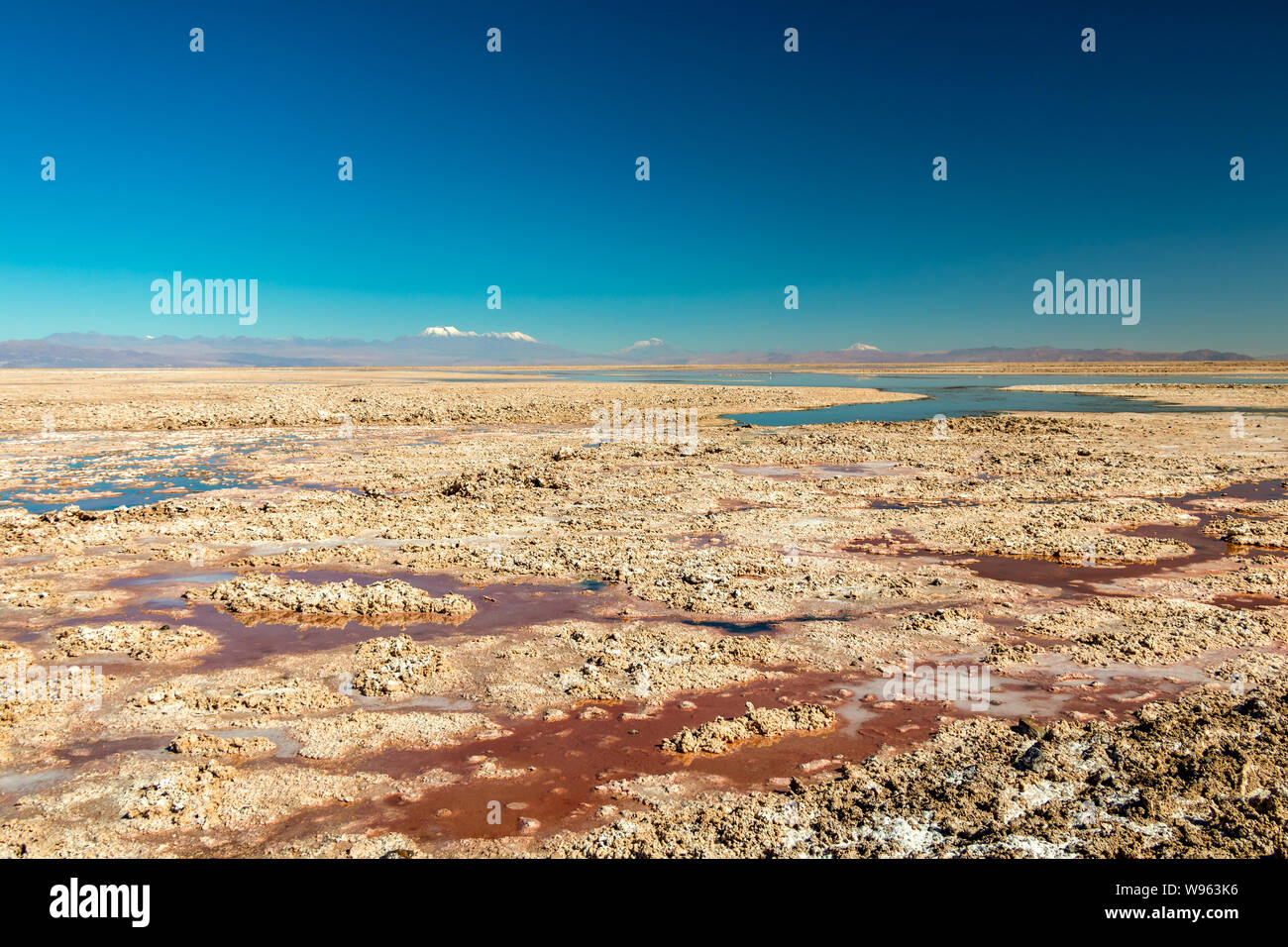 Chaxa Lake (Laguna Chaxa) with reflection of surroundings and blue sky ...