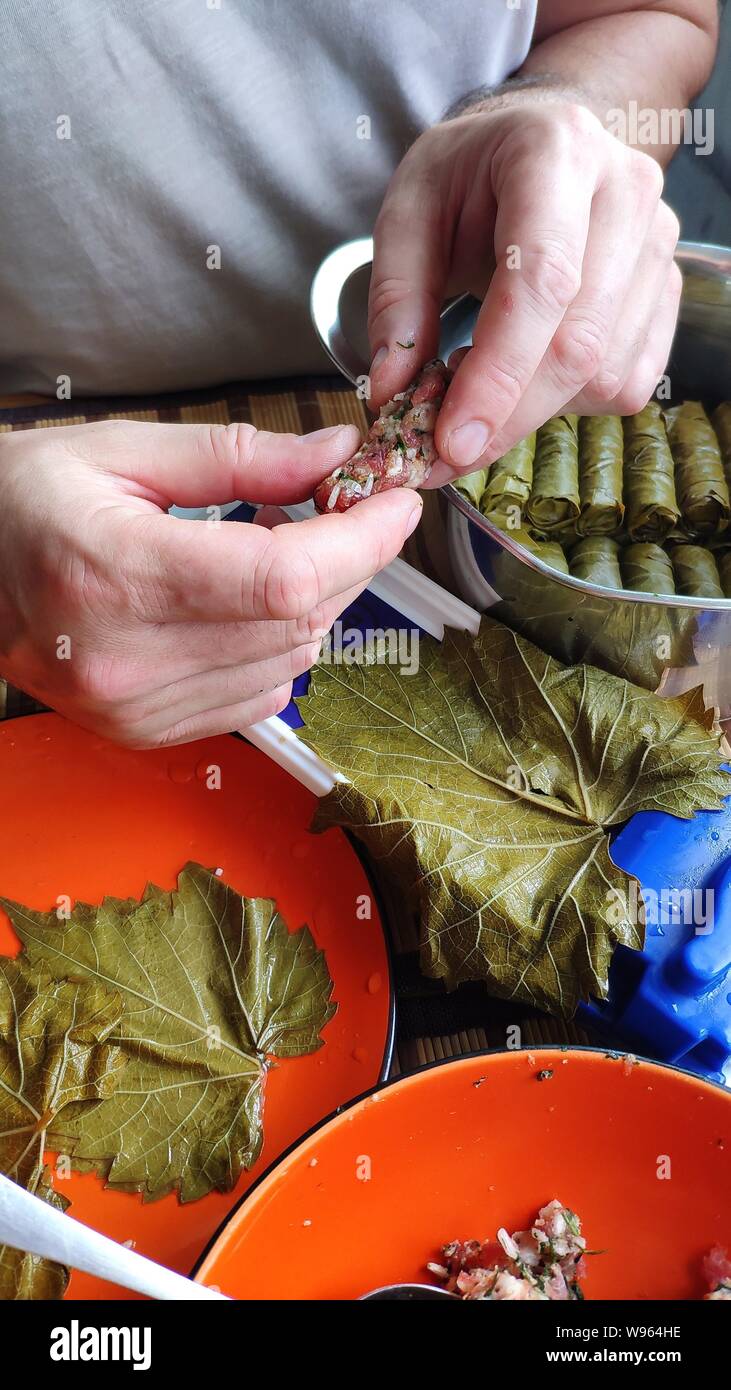 Closeup of male hands making Dolma, tolma, sarma, dolmah stuffed grape ...