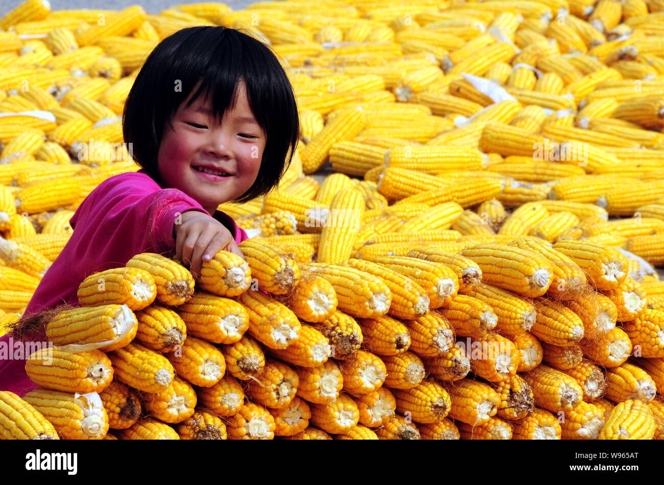 --FILE--A young Chinese girl piles up corn in Yuding village, Matou ...