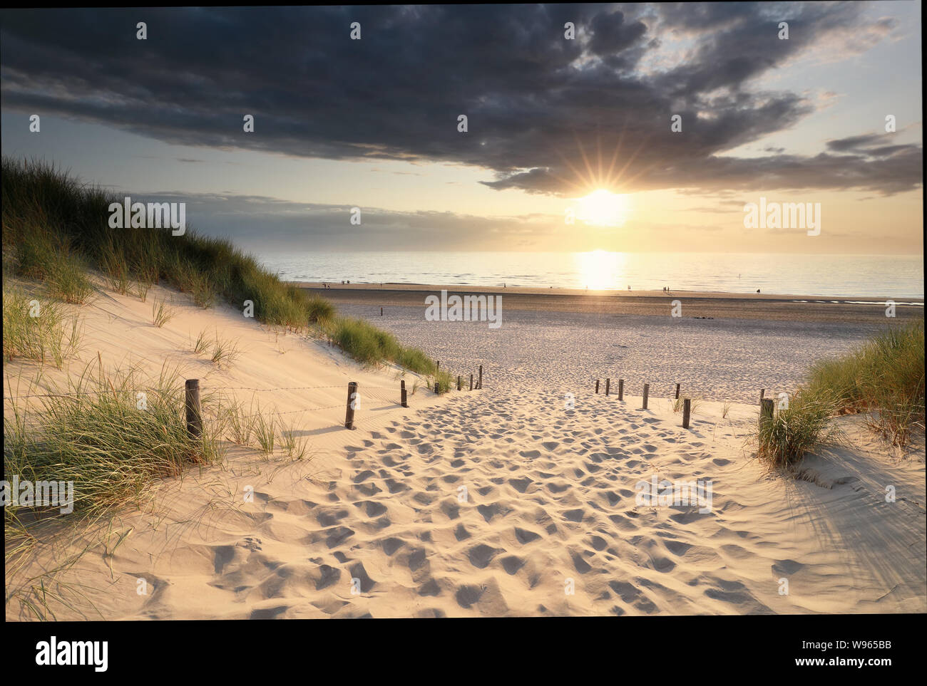 path to the sea beach at golden sunset sunlight in summer Stock Photo ...
