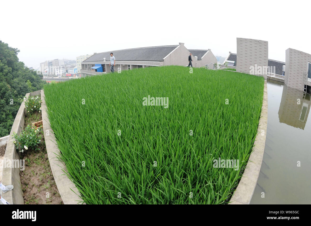Factory farming china hi-res stock photography and images - Alamy