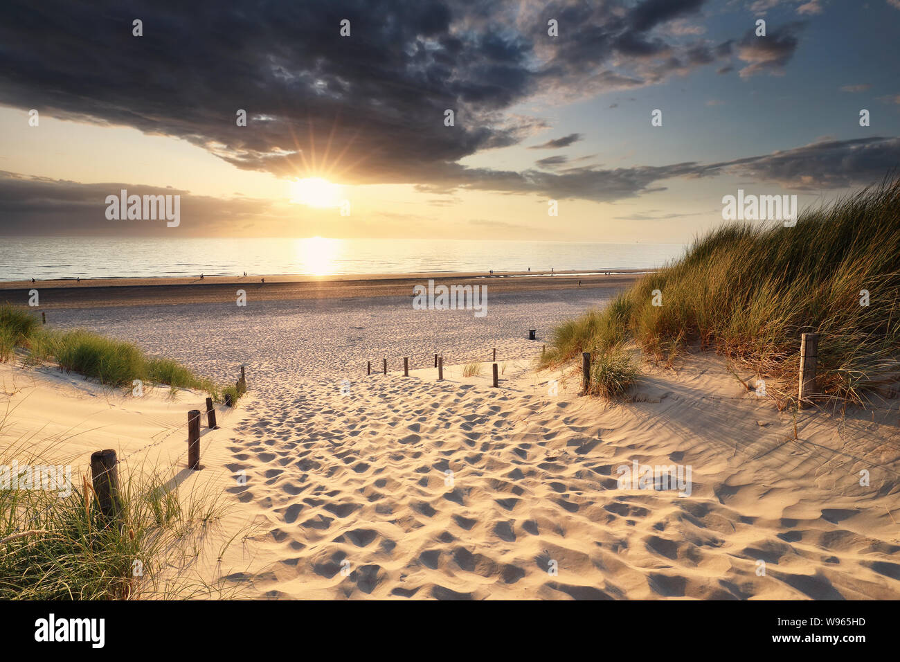 golden sunset light over sand path to North sea beach between dunes ...