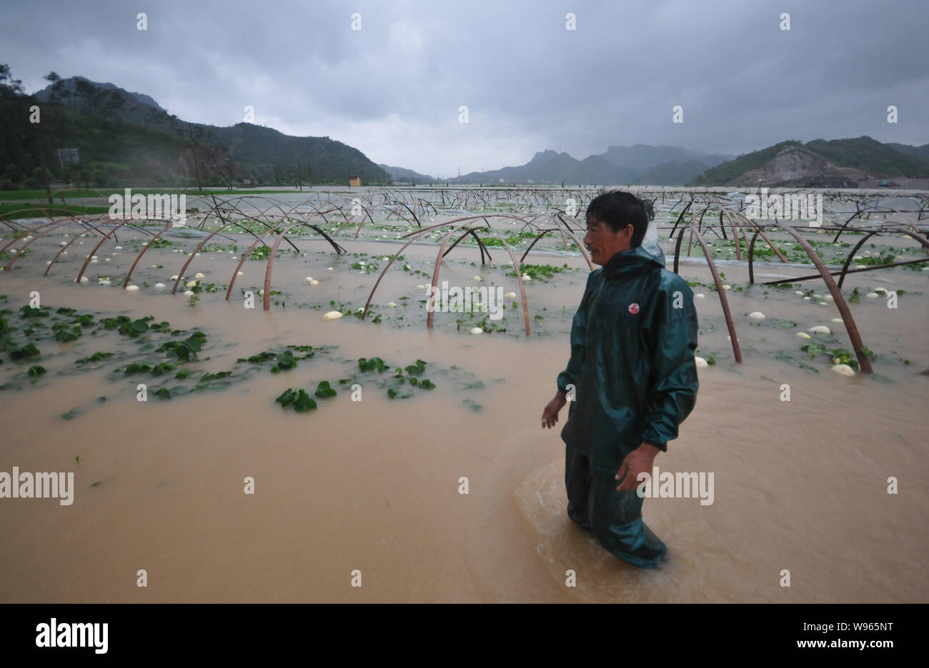 Watermelon Fields High Resolution Stock Photography and Images - Alamy