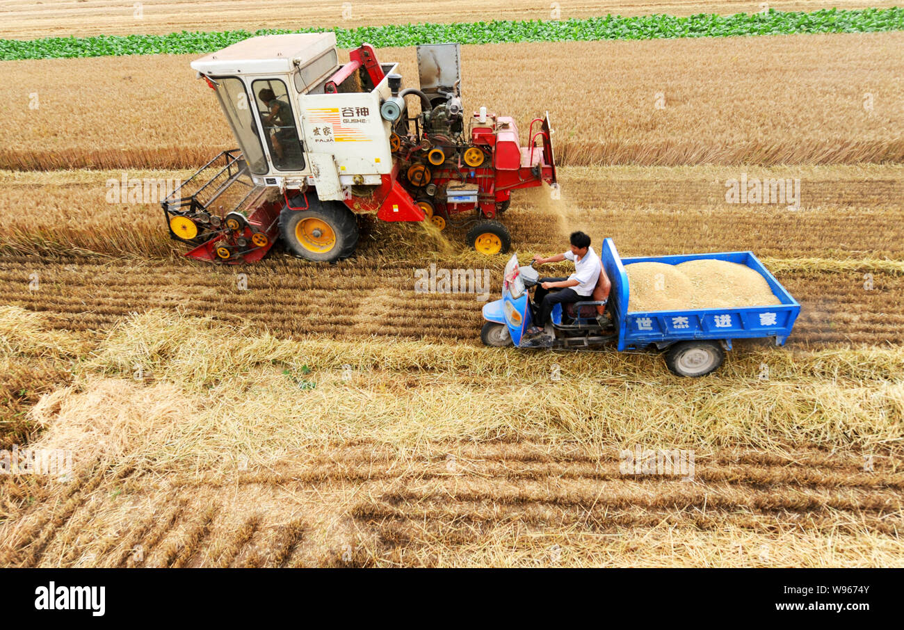 --FILE--Chinese farmers drive a reaping machine and a motor tricycle to ...