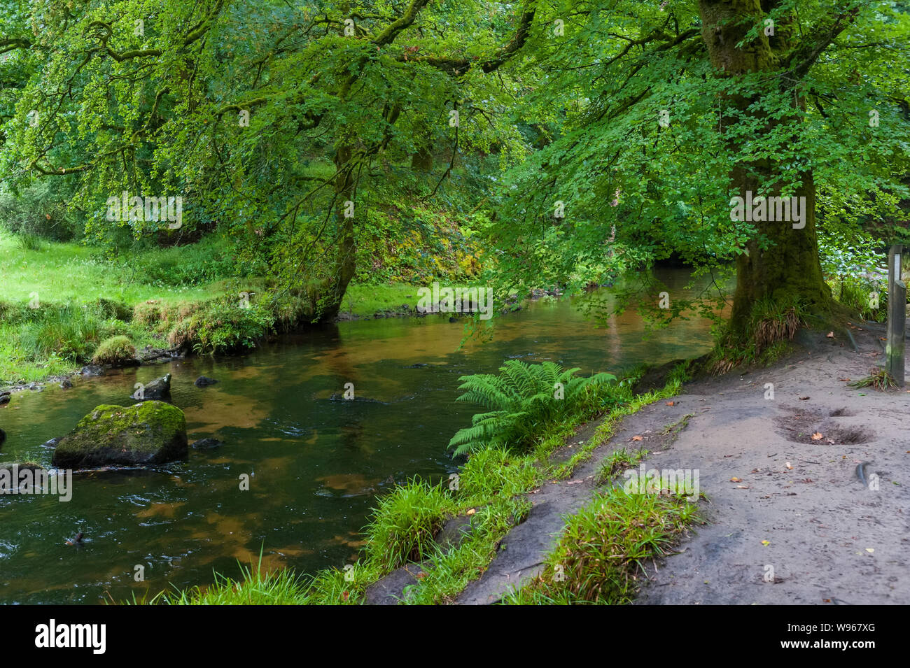 The Golitha Falls are a series of spectacular cascades and waterfalls ...