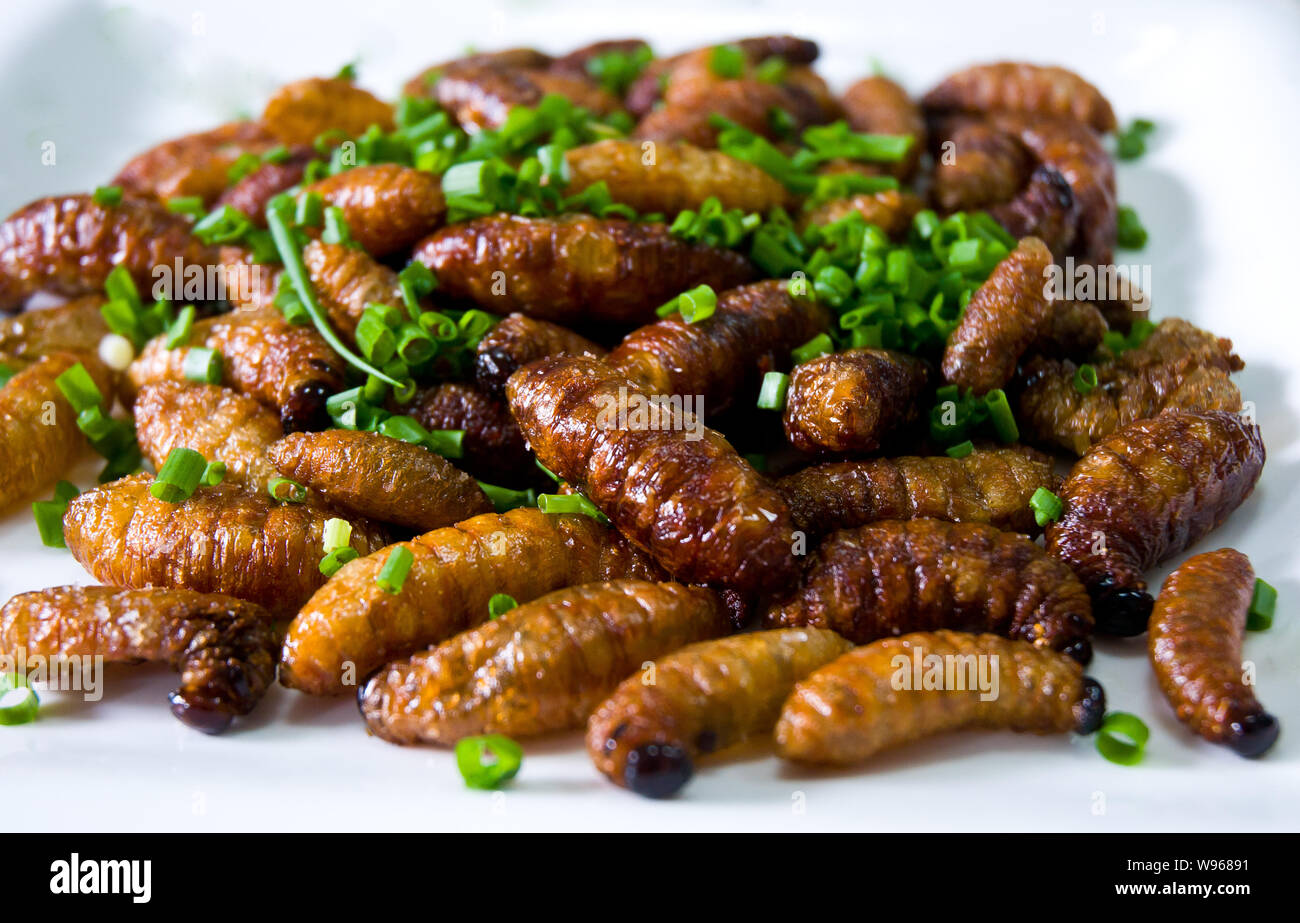 Fried bamboo worms Stock Photo - Alamy