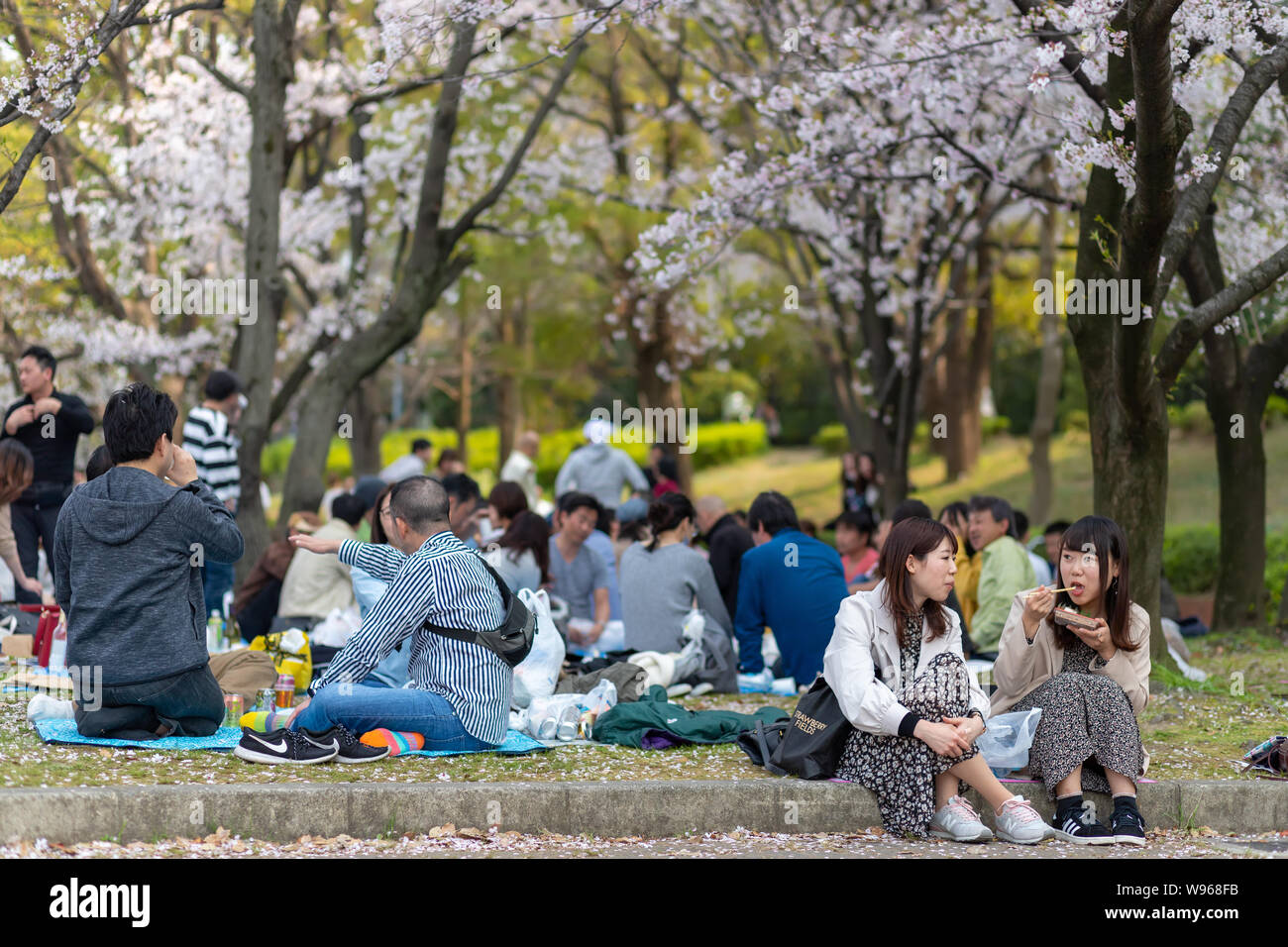 OSAKA, JAPAN, April 7, 2019 : Japanese people are sitting for picnic ...
