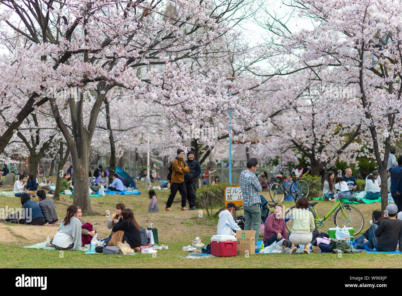 Japanese people playing hi-res stock photography and images - Alamy