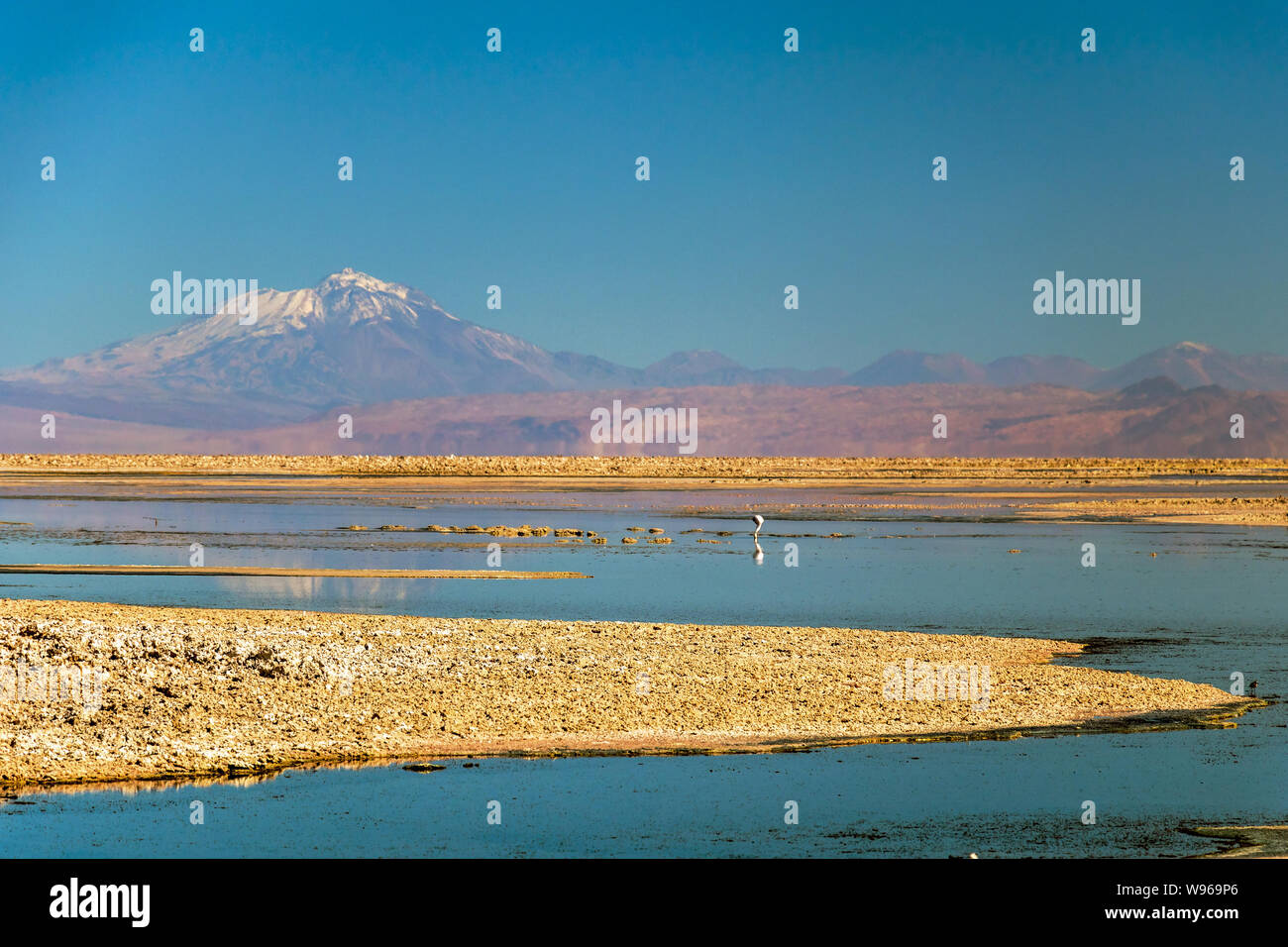 Chaxa Lake (Laguna Chaxa) with reflection of surroundings and blue sky ...