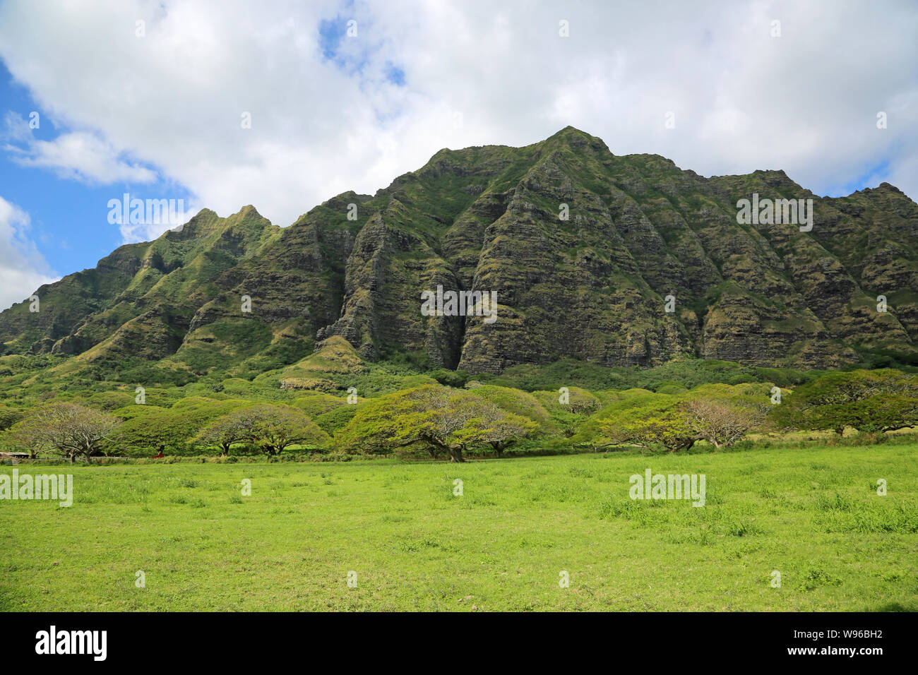 Kualoa Ranch, Oahu, Hawaii Stock Photo - Alamy