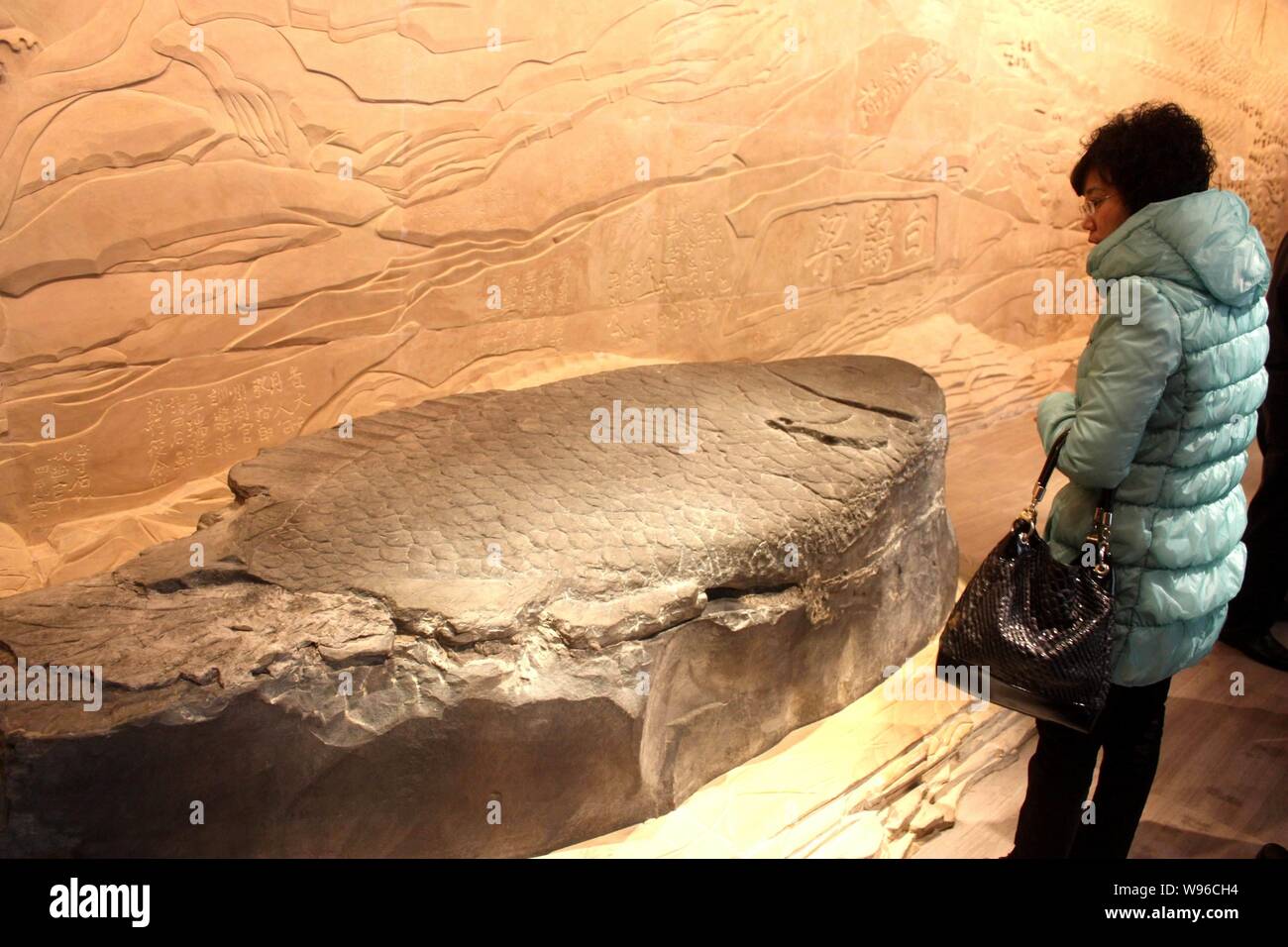 A visitor looks at a carved stone fish at Baiheliang underwater museum ...